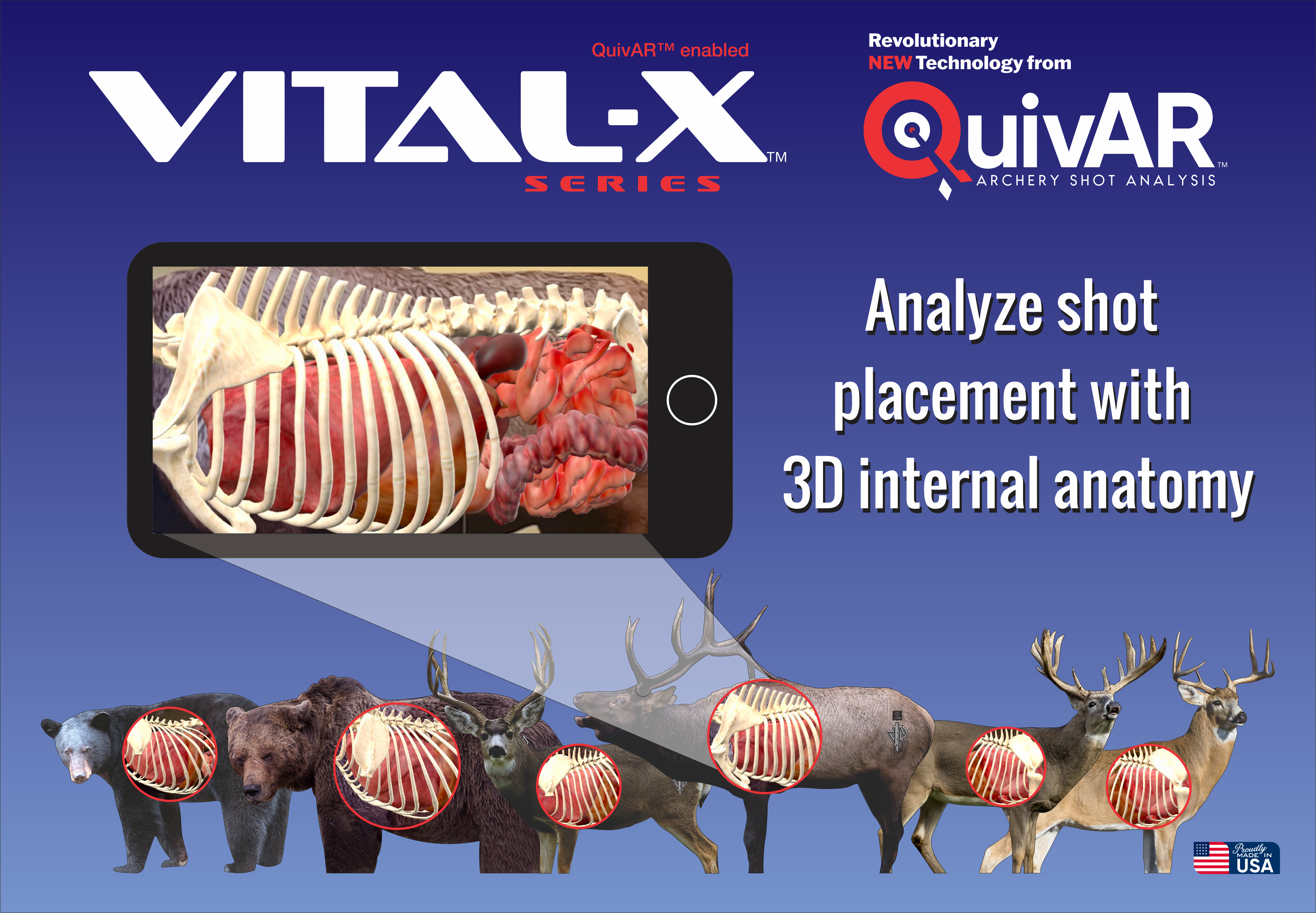 QuivAR Enabled Deadnuts 2D Archery Targets. (iOS devices only)