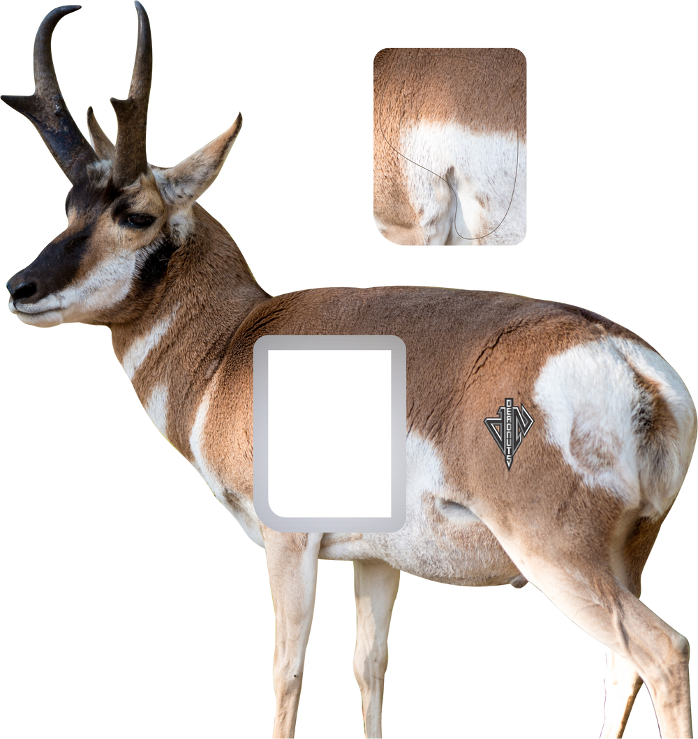 The Range (Ultimate Deadnuts Bundle - 10 Targets Included!)