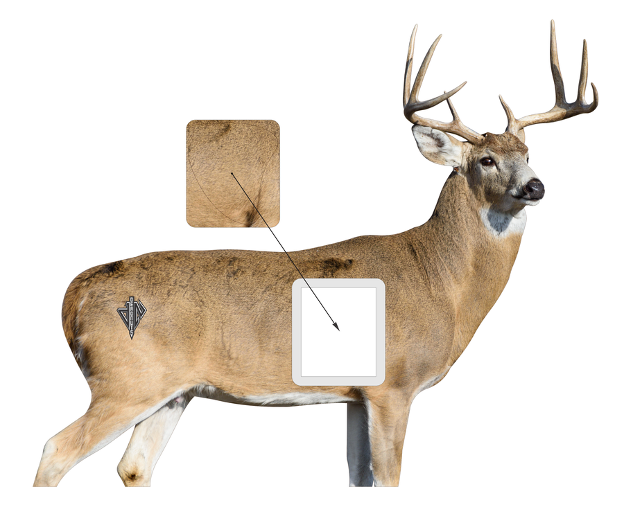 2D Whitetail "Willy" Broadside Target