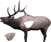 2D Bull Elk Broadside Target