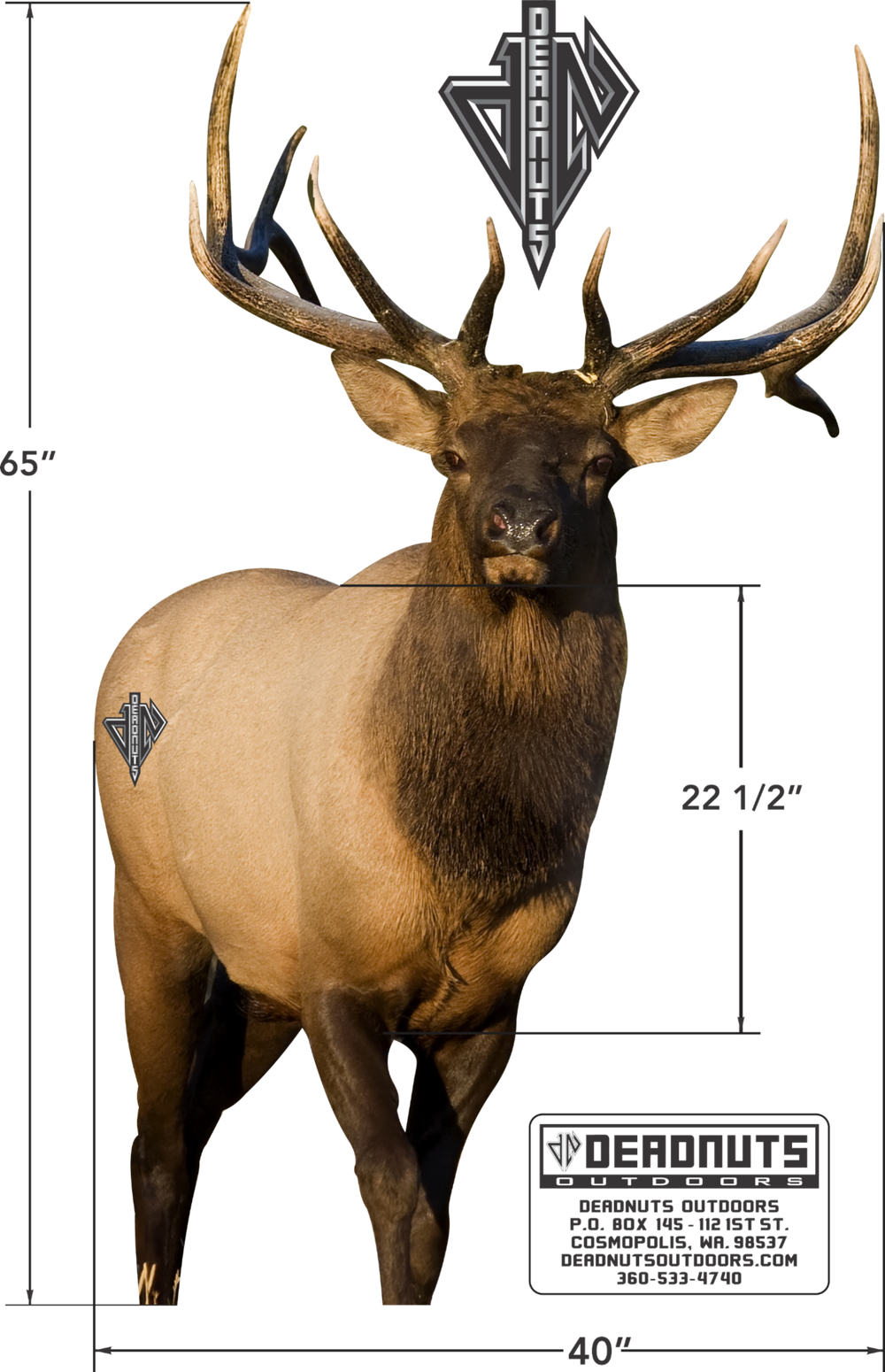 2D Bull Elk Frontal Target